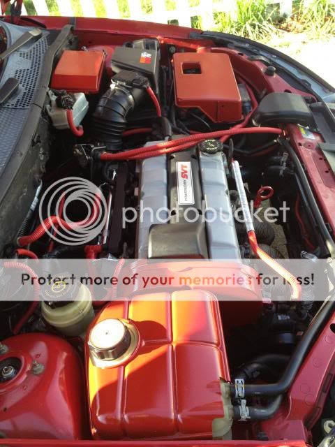 Engine Bay Paint Job. Pics! | Focus Fanatics Forum